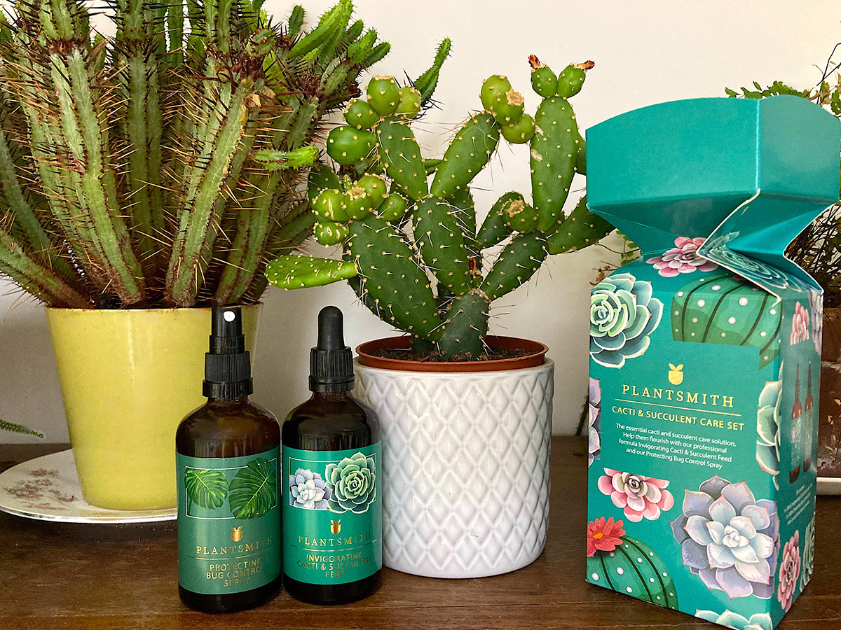 Spring - time to start feeding houseplants - Plantsmith