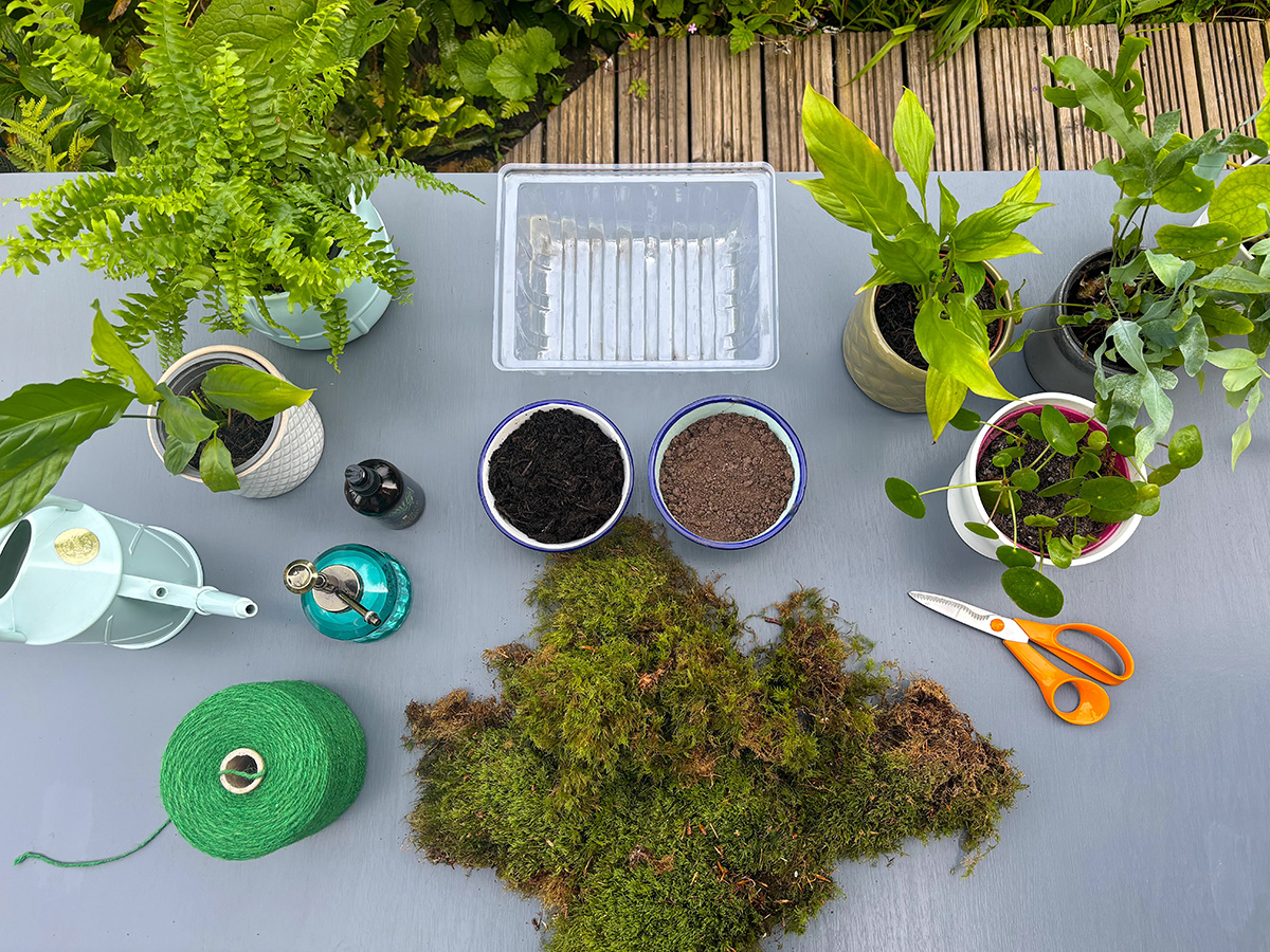 How to make a kokedama - Plantsmith